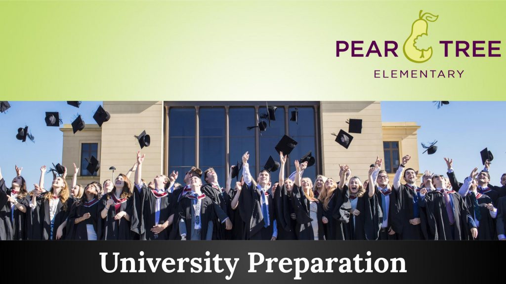 Pear Tree + University Preparation: Setting The Stage For Success ...